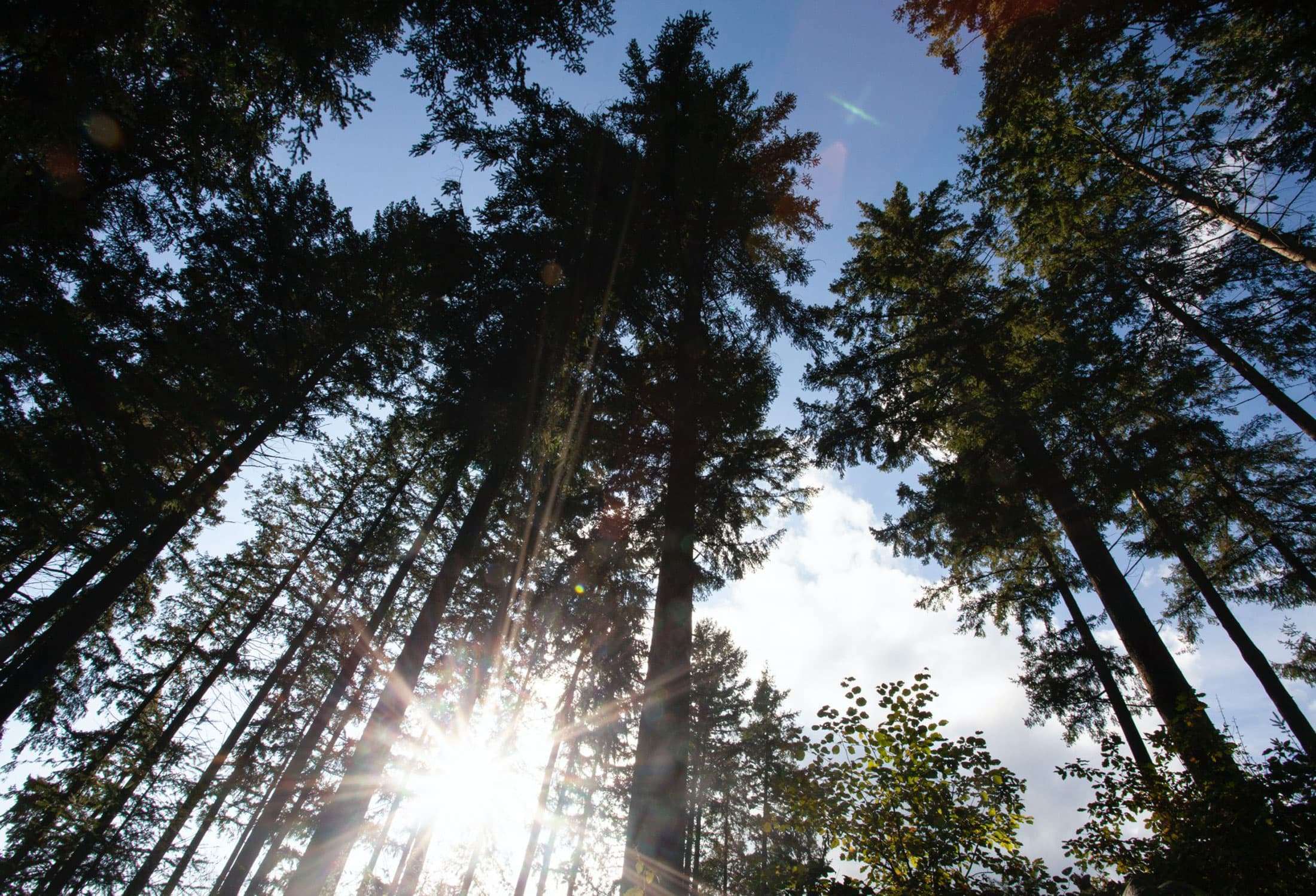 Definition of Atman: The Self | Hridaya Yoga