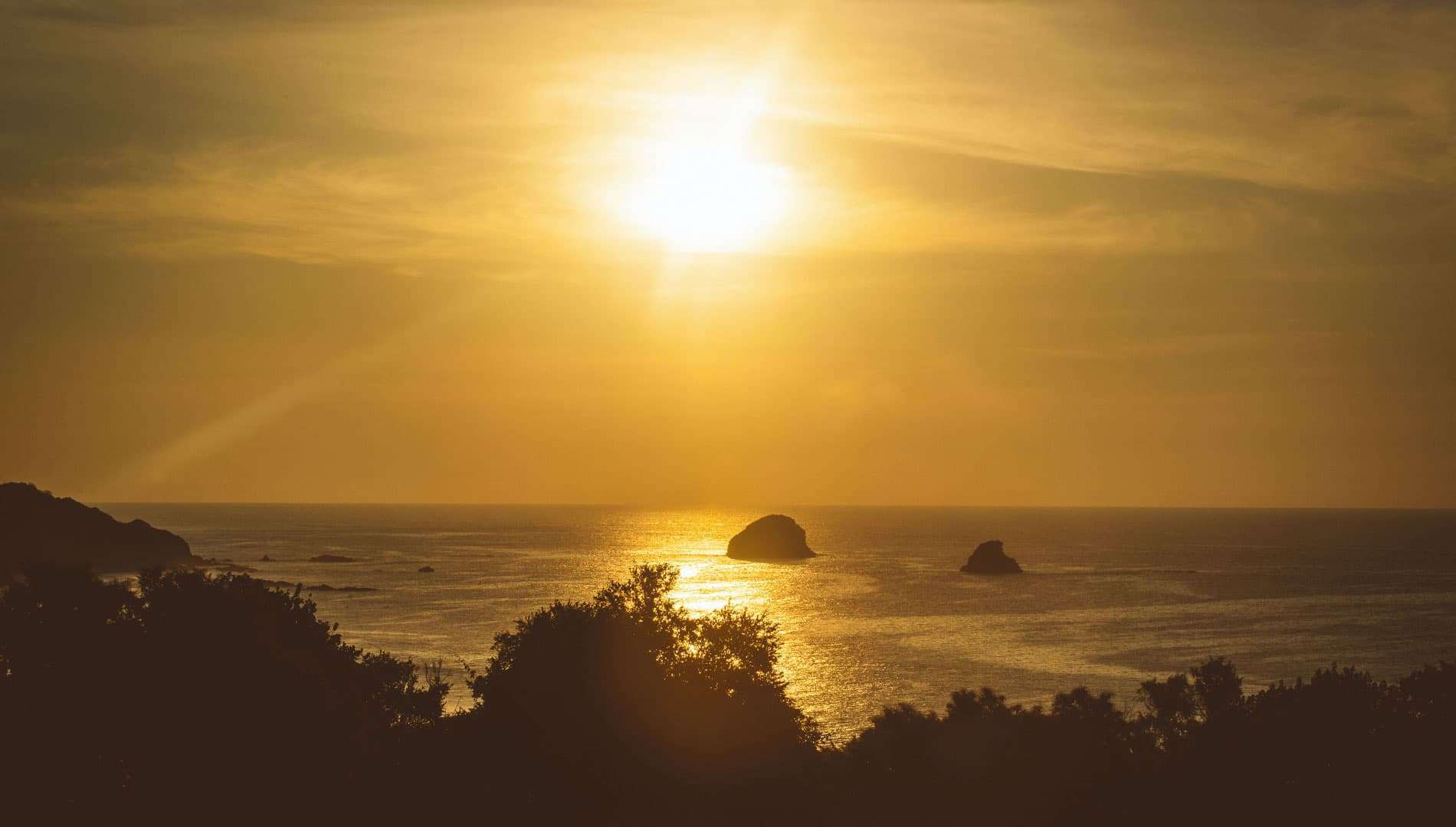 Spanda: The Sacred Tremor of the Heart