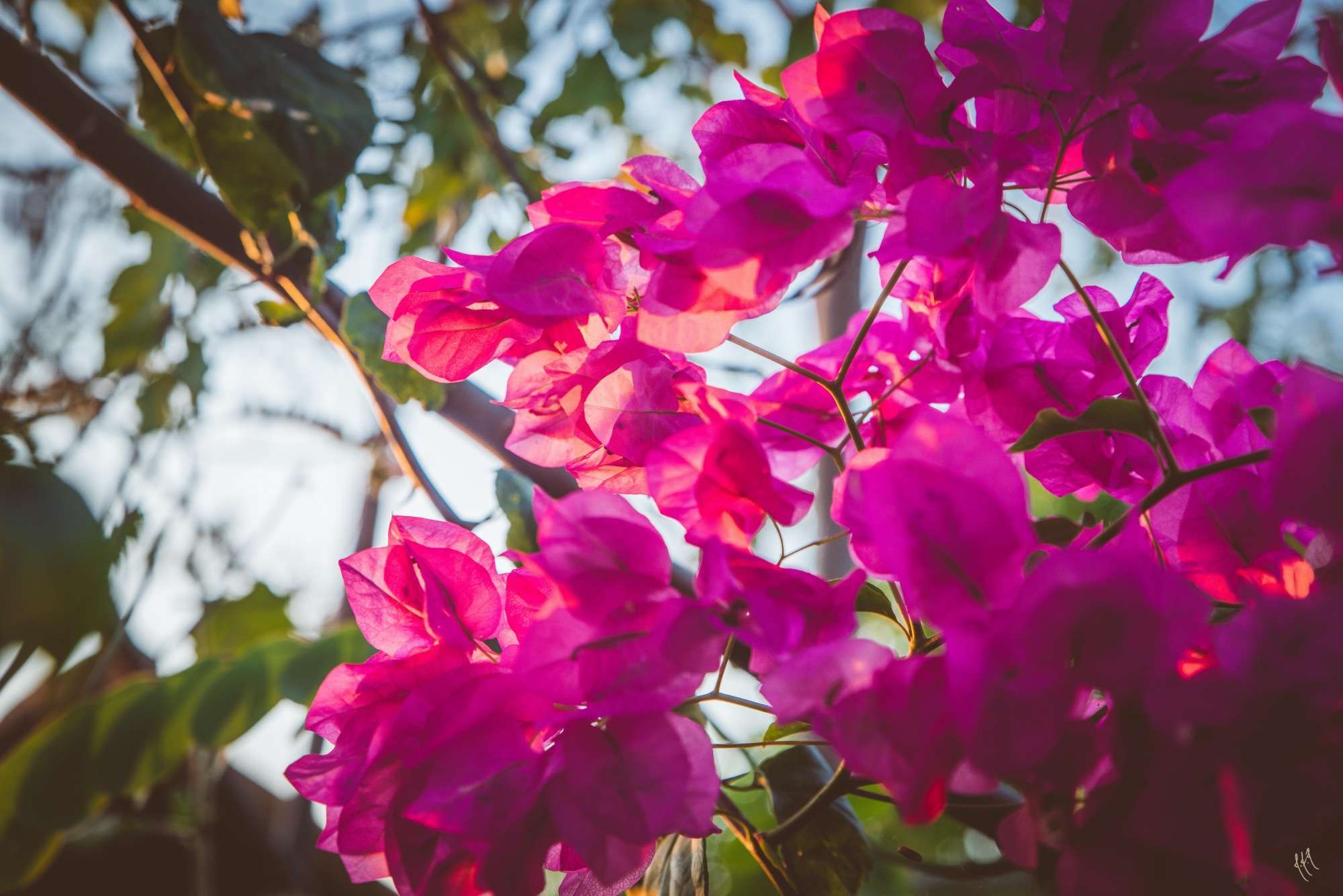 Hridaya Yoga Mexico: What to Bring