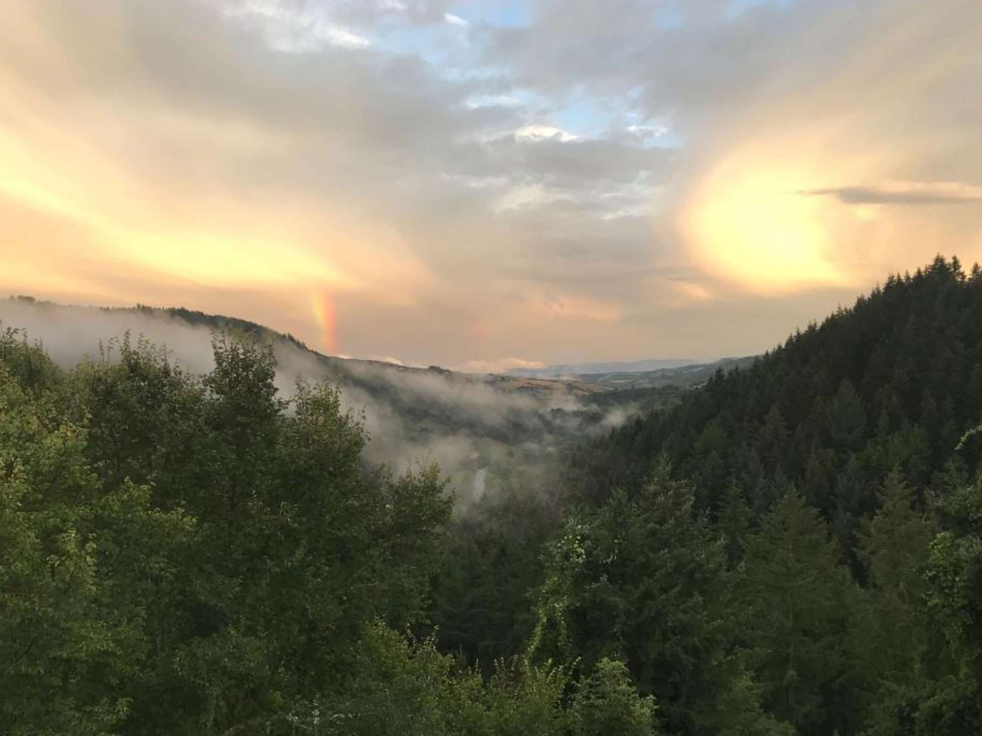 The Hridaya Yoga Vision – Hridaya Yoga France & Mexico