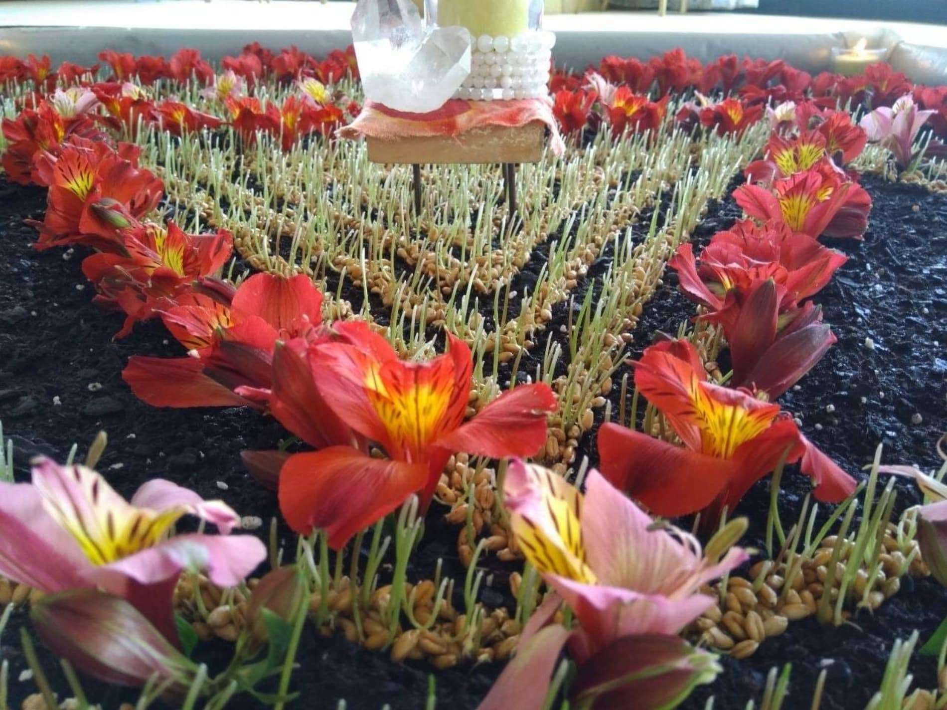 Transforming Your Life through the Grace of Kali | Hridaya Yoga France