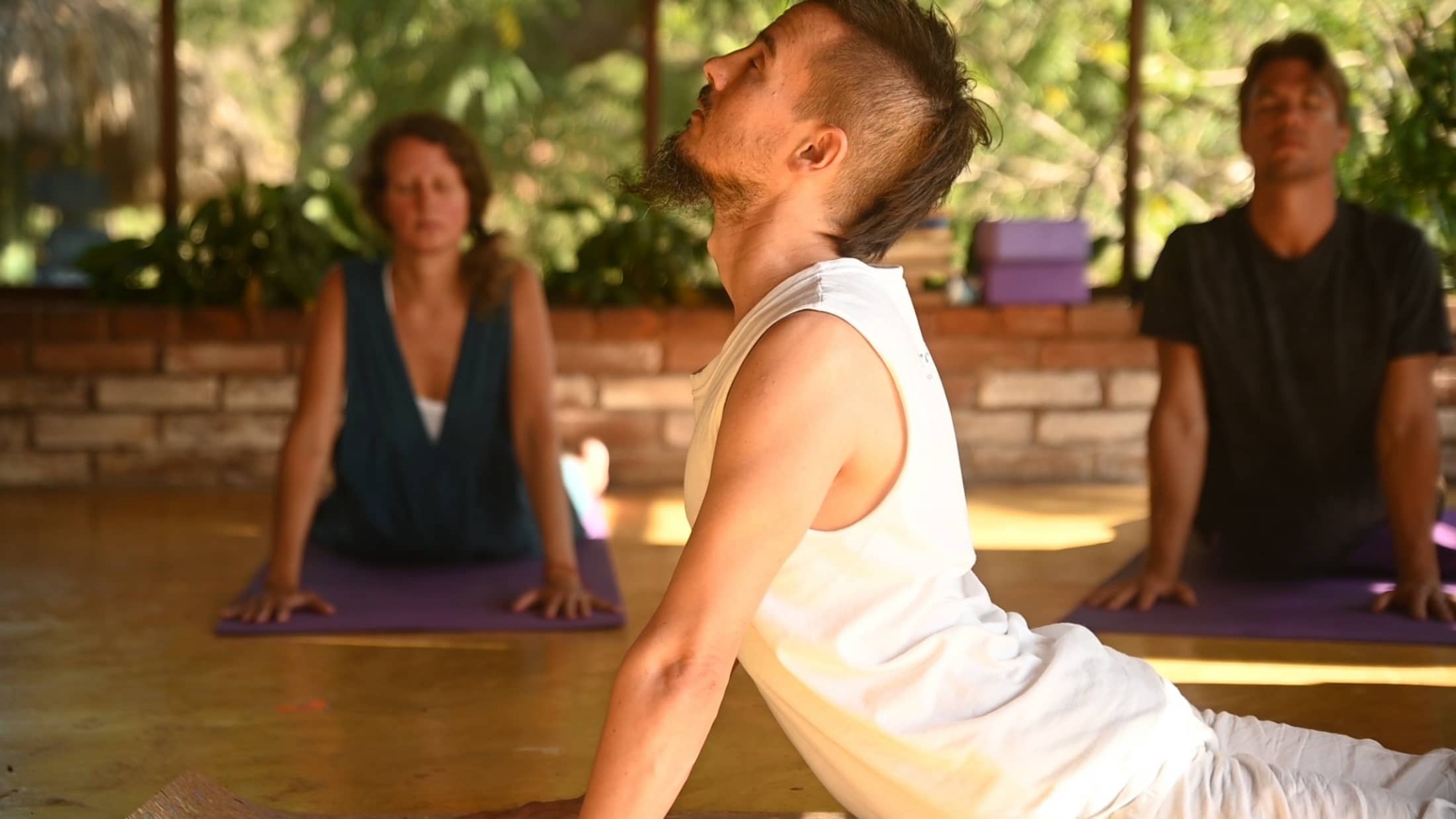 Teaching Hridaya Yoga | Hridaya Yoga France & Mexico